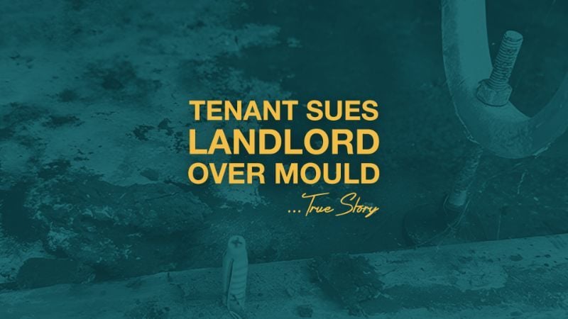 Confronting Mould: A Tenant's Journey to Justice - MVHR.shop